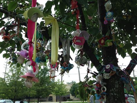 Northvilles Binky Tree Attracts Statewide Attention Northville Mi Patch