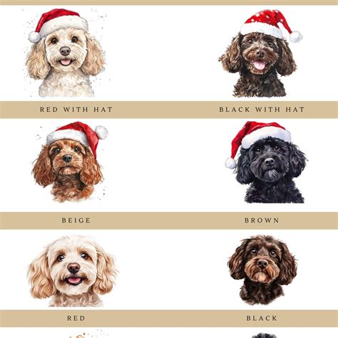 Cockapoo T 60 T Ideas For 2025