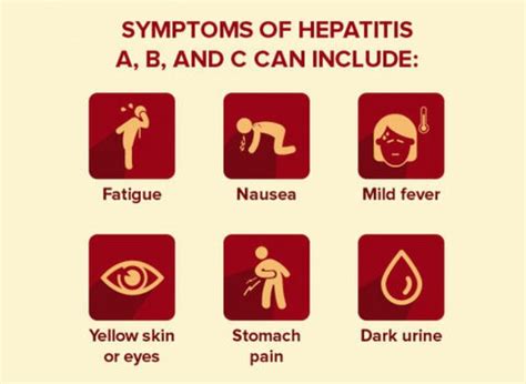 Hepatitis ABC Difference Understand The Difference And Protect Yourself 2023 HealthOk