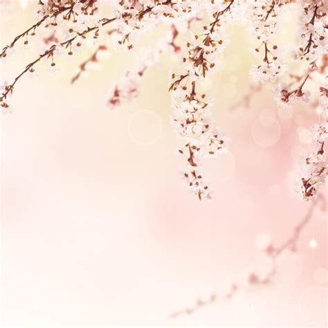 Premium Photo Abstract Spring Background