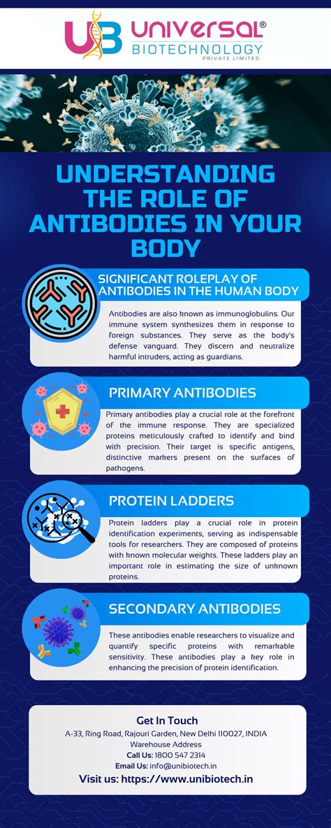 Ppt Understanding The Role Of Antibodies In Your Body Powerpoint