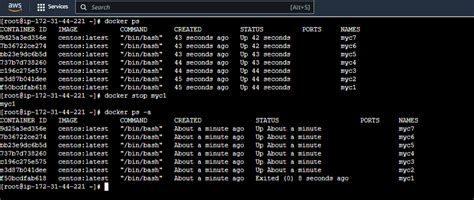 Docker Stop Command A Complete Tutorialdefnitionsyntaxexamples
