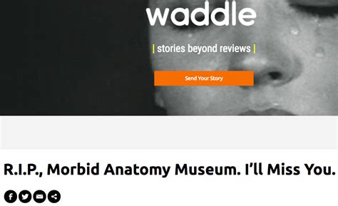 Portfolio Chaia Milstein