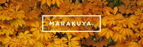 MARAKUYA