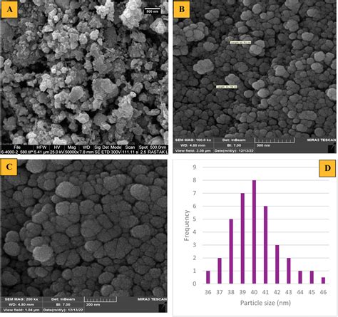 Recyclable Mesalamine Functionalized Magnetic Nanoparticles Mesalamine Gptms Sio 2 Fe 3 O 4