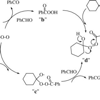 Mechanism Of B V Oxidation Of Cyclohexanone In The Presence Of O 2 And