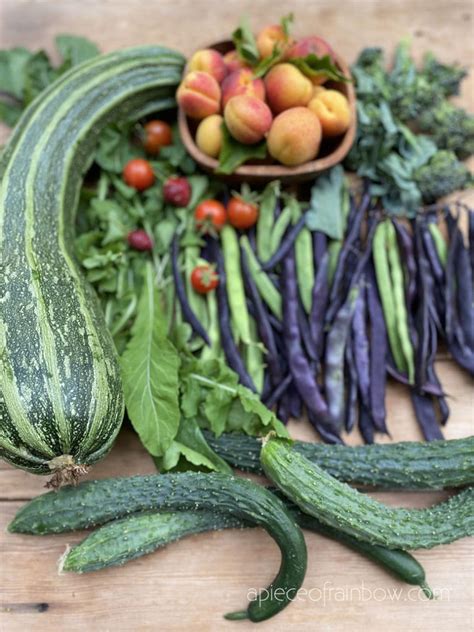 16 Easiest Vegetables To Grow Fast Harvest For Beginners A Piece