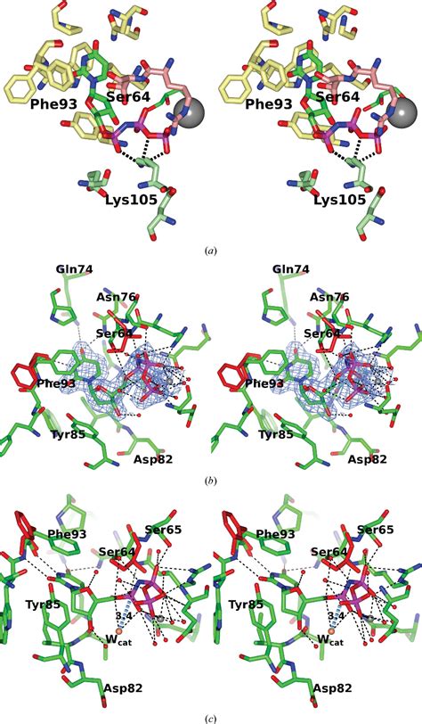 Figure 4 From The Structure Of The Genomic Bacillus Subtilis Dutpase