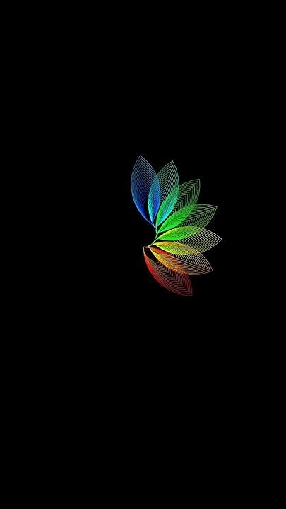 Amazing Flower Design Using Python Turtle 🐢pythontipsandtricks