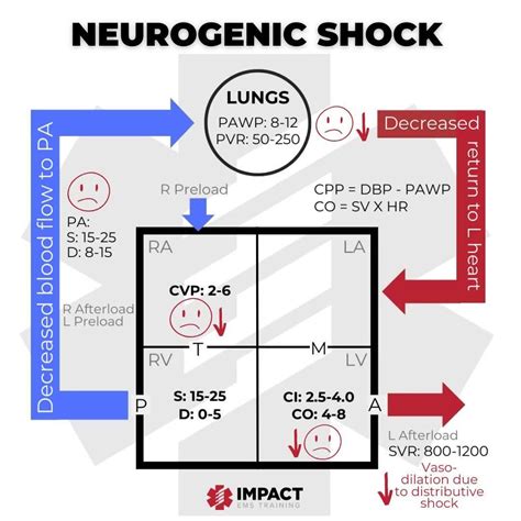 Emergency Medicine Pearls Neurogenic Shock Hemodynamic Review