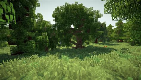 Custom Tree Repository Minecraft Map