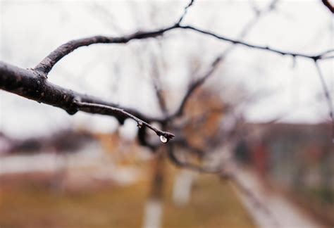 Lietus Zars Lāse Pxfuel Valmieras Ziņas