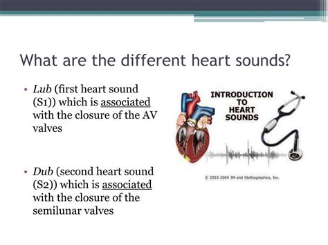 Ppt Heart Sounds Powerpoint Presentation Free Download Id2000165