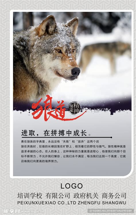 狼性文化展板设计图 广告设计 广告设计 设计图库 昵图网