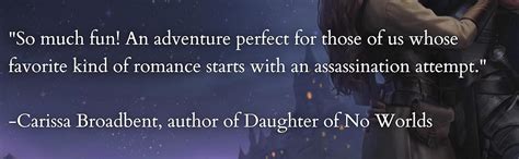 The Fae Kings Assassin A Standalone Fantasy Romance