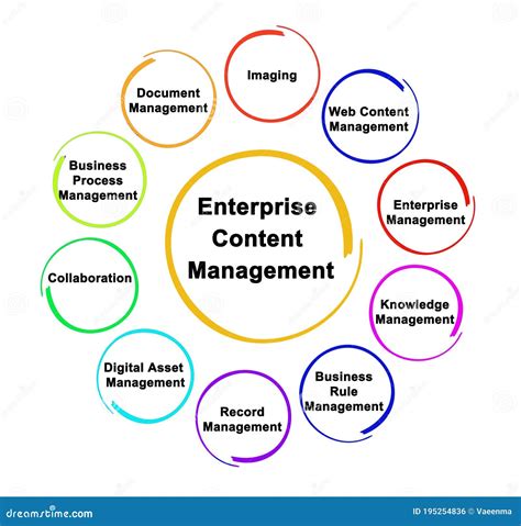 Enterprise Content Management Stock Illustration Illustration Of Document Management 195254836