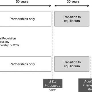 Simulation Steps The Model Is First Run With No Sexually Transmitted Download Scientific