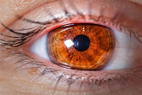 Advancements In Glaucoma Surgery Cutting Edge Eye Care