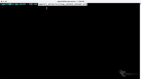 Pinpointing The Hottest Erlang Code Paths With High Cpu Usage Using Openresty Xray Openresty