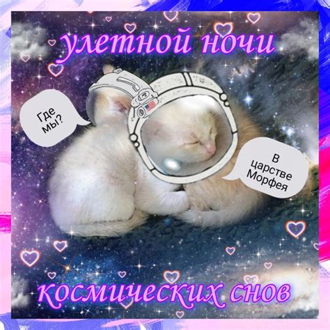 Спокойной ночи Ночь Спокойной ночи Юмор про сон