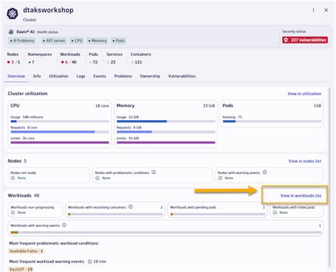Azure Aks Levelup Workshop Lab 1 Dynatrace Observability For Aks