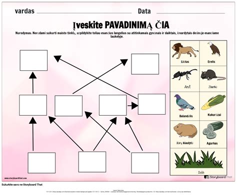 Maisto Tinklo Veiklos Ekosistemos Darbalapis Storyboard