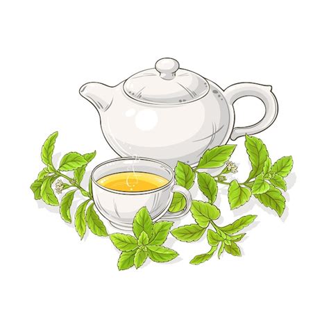 Premium Vector Stevia Tea In Teapot Illustration