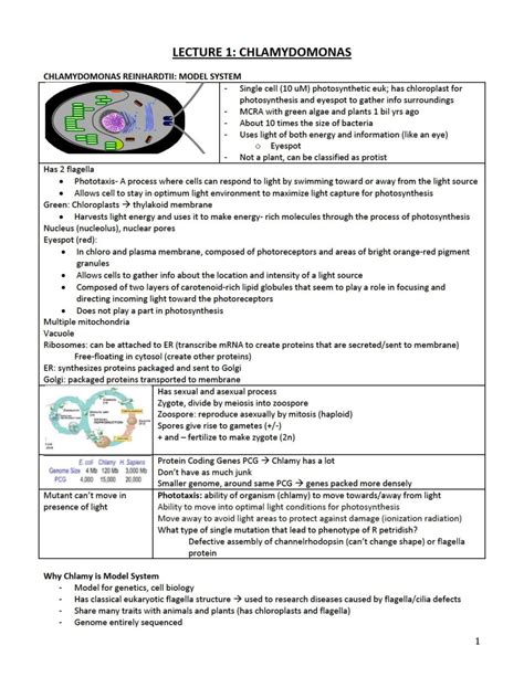 biology for science ii lecture notes biology1002 biology for