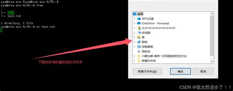 Linux环境基础开发工具的使用 apt vim gcc g gbd make Makefile linux apt 常用工具