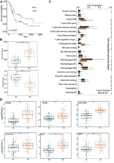 Distinct Function In The Two Subtypes Of Cca A Overall Survival