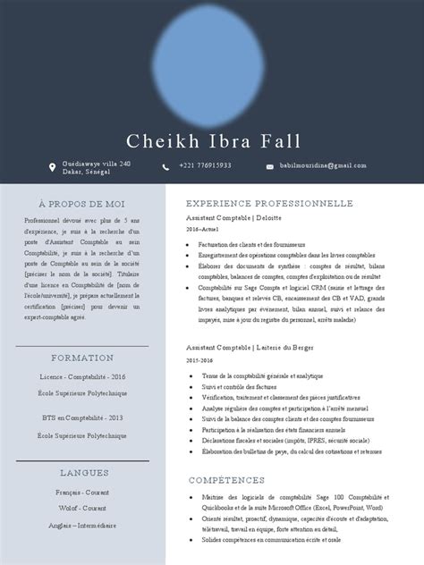 Cv Assistant Comptable Pdf Comptabilité Business