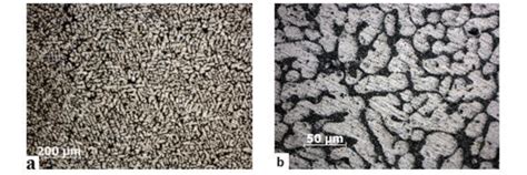 Microstructure 2 Of An Alloy Containing 15 Si Download Scientific