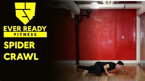 Spider Crawl Youtube