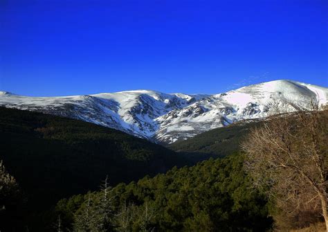 Sierra Nevada Les Krajina Fotografie Zdarma Na Pixabay Pixabay