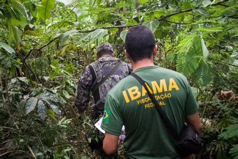 Concurso Do Ibama Oferece 460 Vagas Em Todo O Brasil Com Cinco
