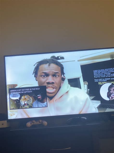 You Cant Tell Me This Dont Look Like Rease Ritzrease