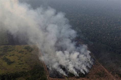 Incêndios Na Amazônia Representam Riscos Para Saúde Diz Oms Exame