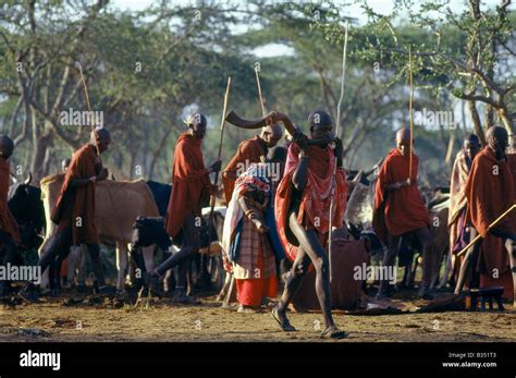 Kenya Kajiado Maparasha One Of The Most Important Maasai Ceremonies