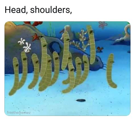 Nematodes Nematodes Spongebobmemes