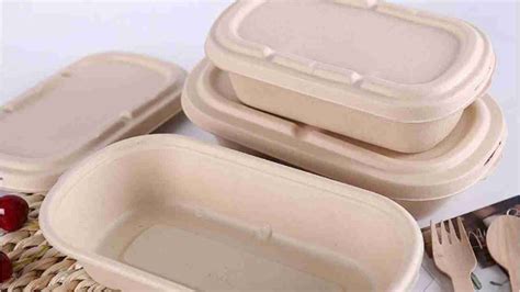 Best Eco Friendly Products In The Philippines