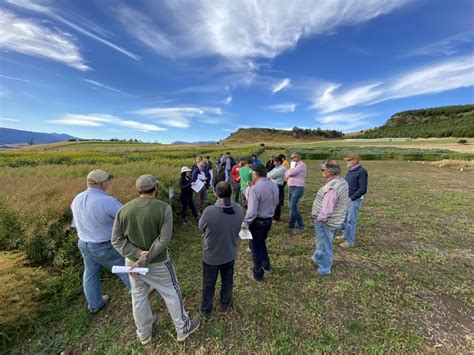 Inia Tamel Aike Informó Primeros Resultados De Iniciativa Que Promueve