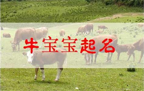 三个字霸气带牛的名字 带牛字的霸气名字大全 霸气的牛王绰号 大山谷图库