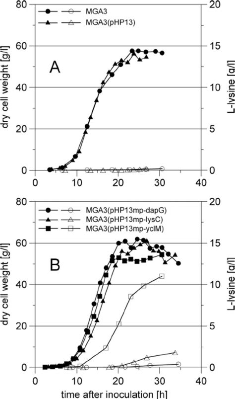Growth And L Lysine Production In Fermentation Trials For Download Scientific Diagram