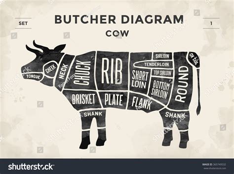 1258 Cow Butcher Diagram Stock Vectors Images And Vector Art Shutterstock