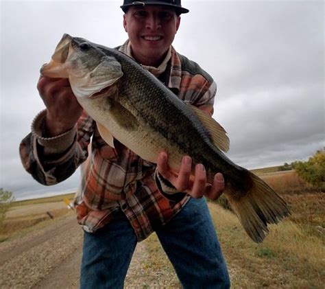 Fishing Reports Best Baits And Forecast For Fishing In Curlew Lake