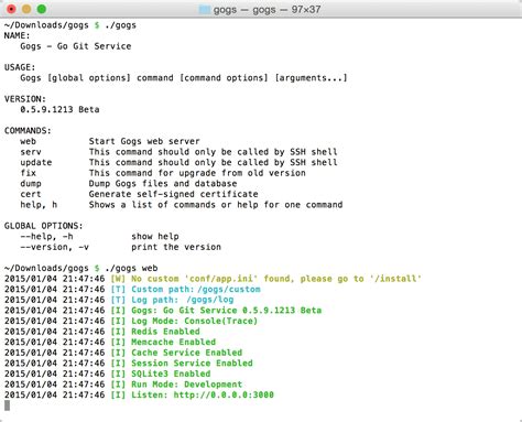 Gogs Setting Up Self Hosted Github Clone Devzine
