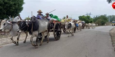 ကန့်ဘလူခရိုင်၌ စစ်ဘေးရှောင်လူဦးရေ ၅၀၀၀၀ ကျော် စားနပ်ရိက္ခာနှင့် ဆေးဝါးများလိုအပ်နေ