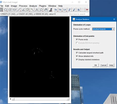 calculate total length of 3d skeleton image analysis image sc forum