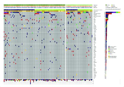 Oncoprint Of Genomic Alterations Identified In Baseline Tumor Tissue