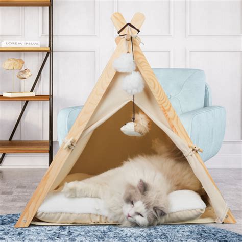 Tucker Murphy Pet™ Brylan Specialty Cat Bed And Reviews Wayfair